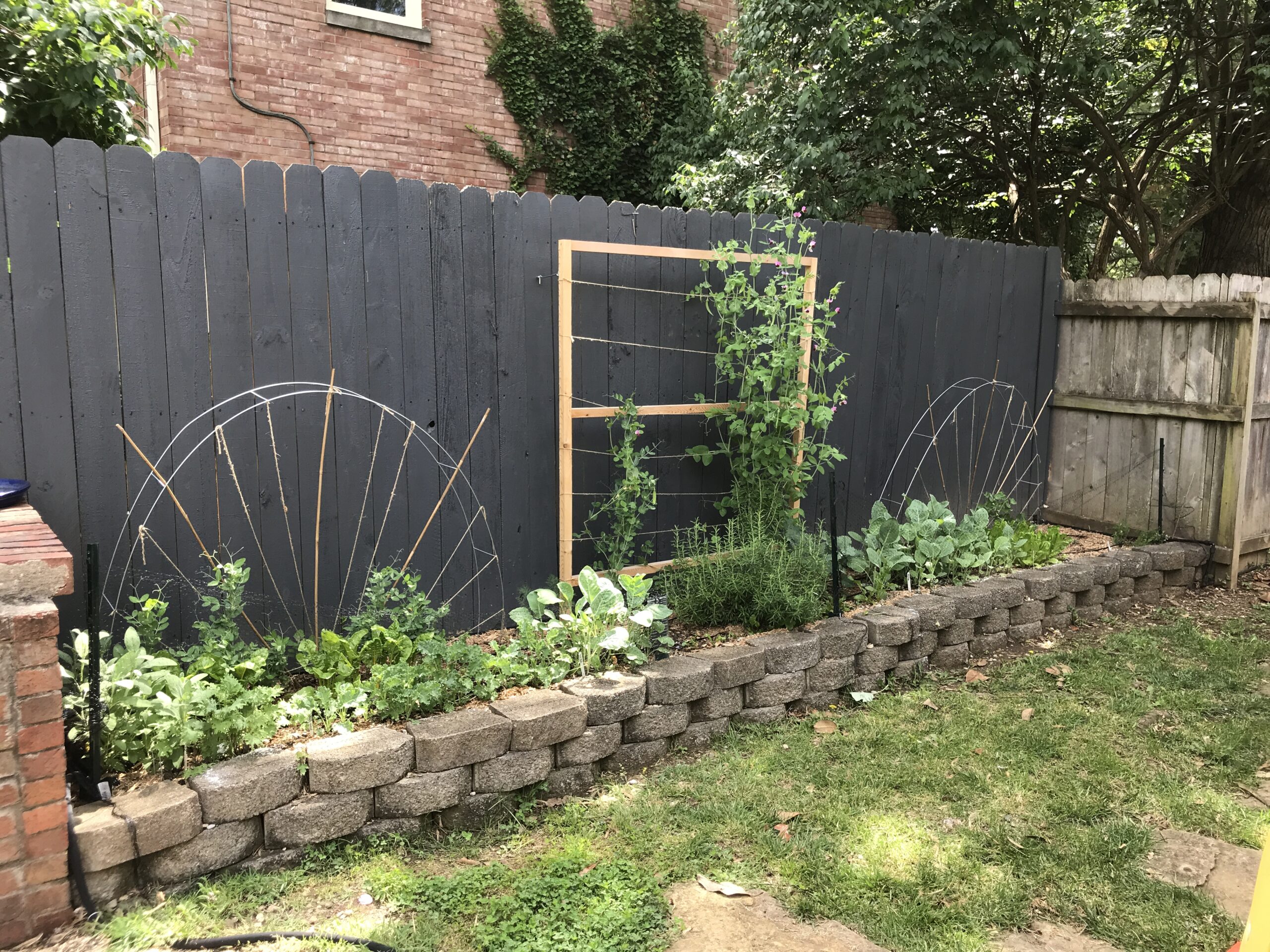 Home - Kitchen Gardens