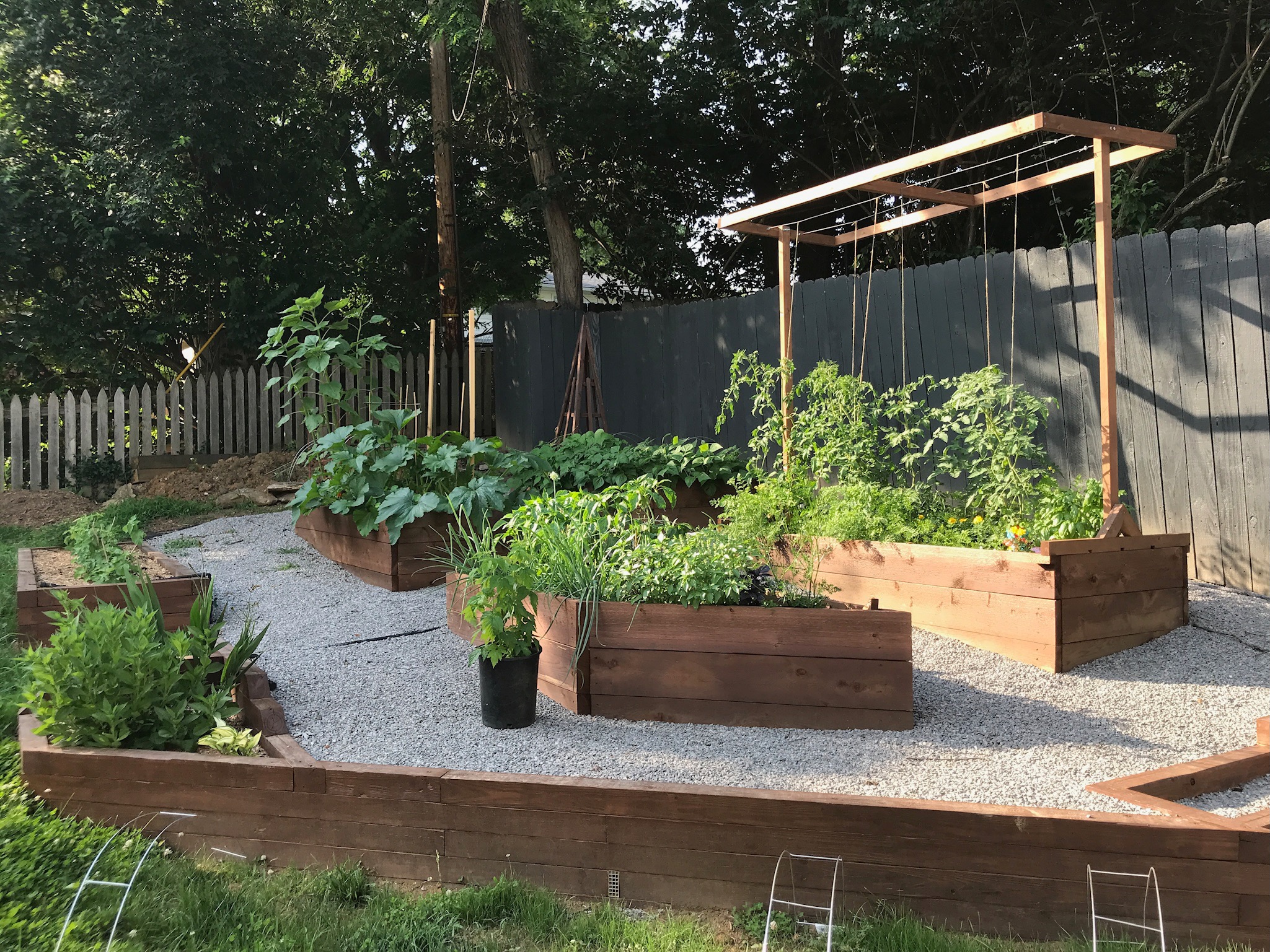 Home - Kitchen Gardens
